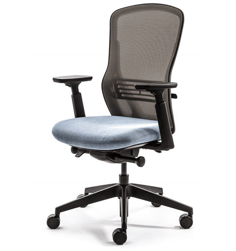 Senator Ousby Office chair Black Frame